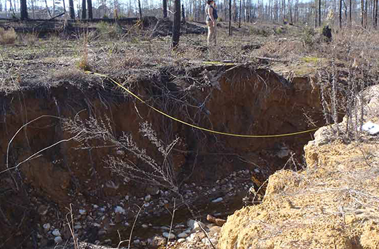 Bastrop Co. Complex Fire Recovery Program - Bowman