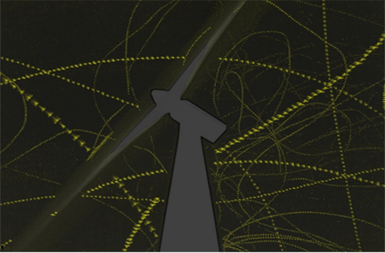 Bat Interactions with Wind Turbines - Bowman