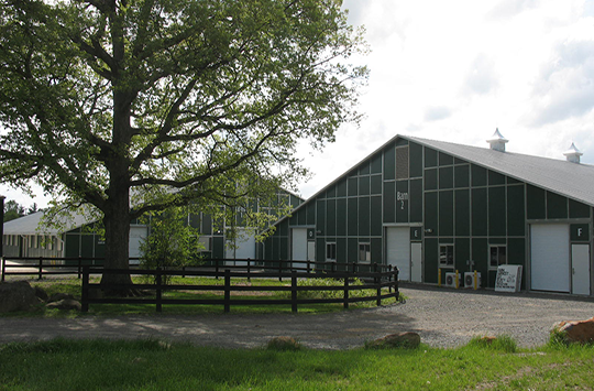 Frying Pan Farm Park - Bowman