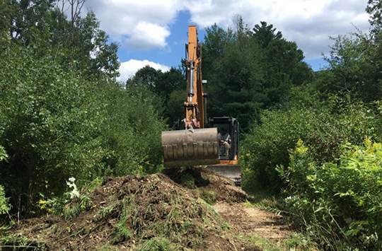 Peck Solar, Wetland Restoration and Permitting - Bowman