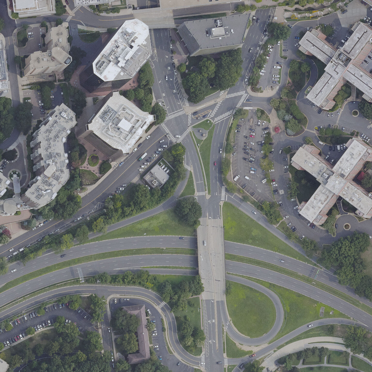 Dual-Sensor Technology for Tree Canopy Assessment in Arlington County, VA